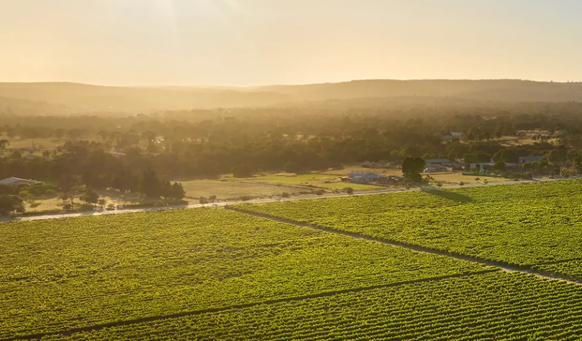 Buy Nikola Estate Tempranillo 2023 😍 Perth Wine Delivery